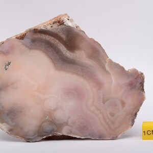 MENDIP DULCOTE AGATE Potato Stone Fluorescent Polished Slice Mineral ...
