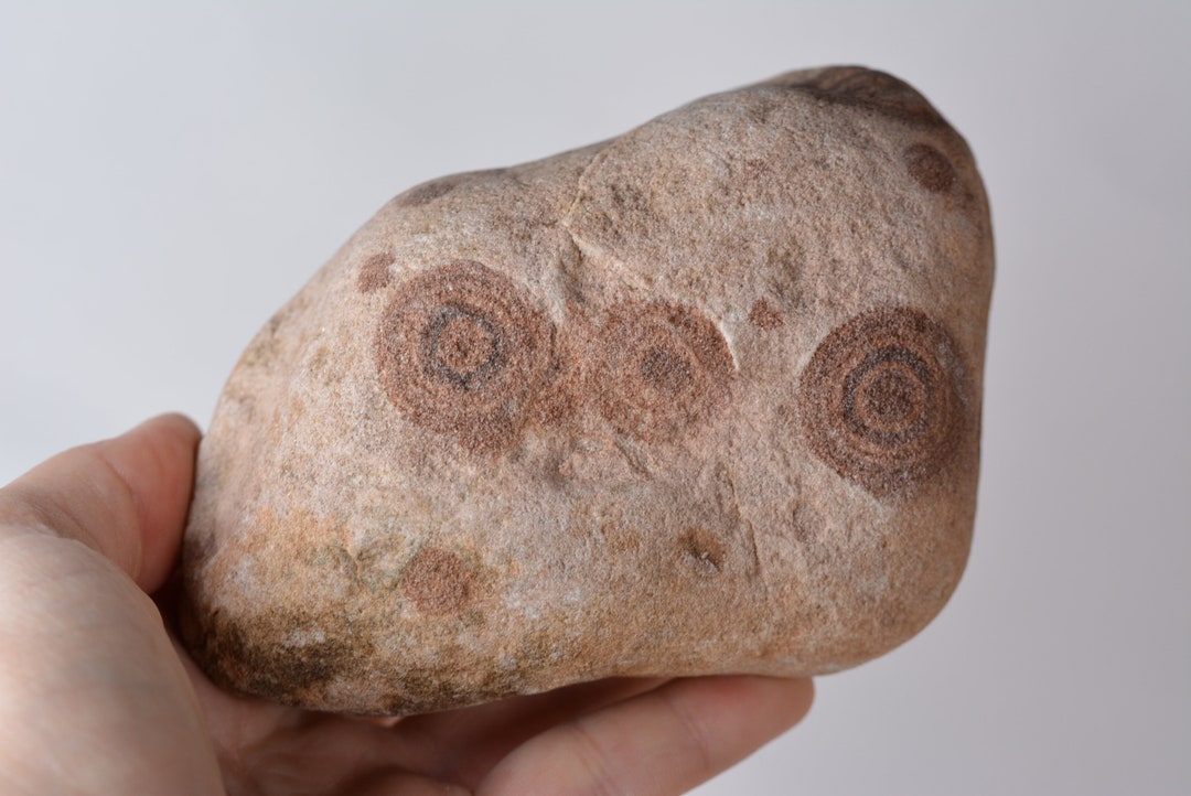 Rare Scottish ORBICULAR SANDSTONE Natural Stone Mineral Crystal Rock ...