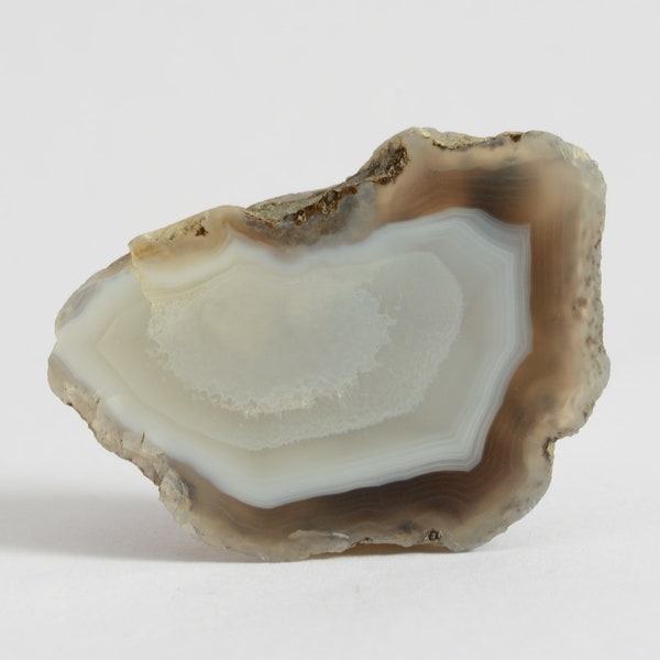 Fortification Agate - Etsy