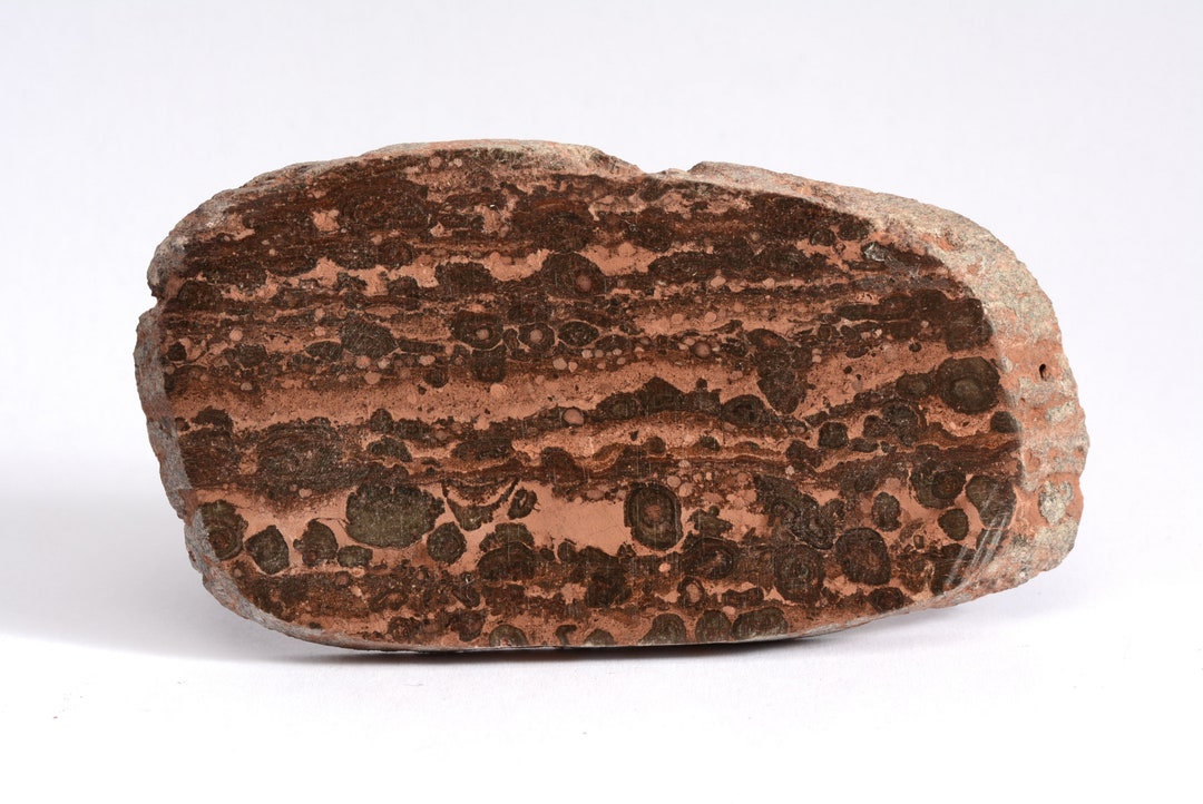 Scottish ONCOLITES ONCOIDS STROMATOLITE Cyanobacteria Fossil ...