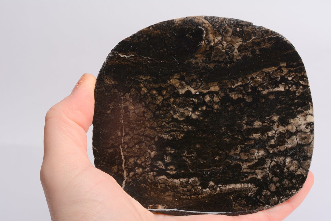 Rare Scottish SPHERULITE ROCK With Calcite Fluorescent Uv - Etsy