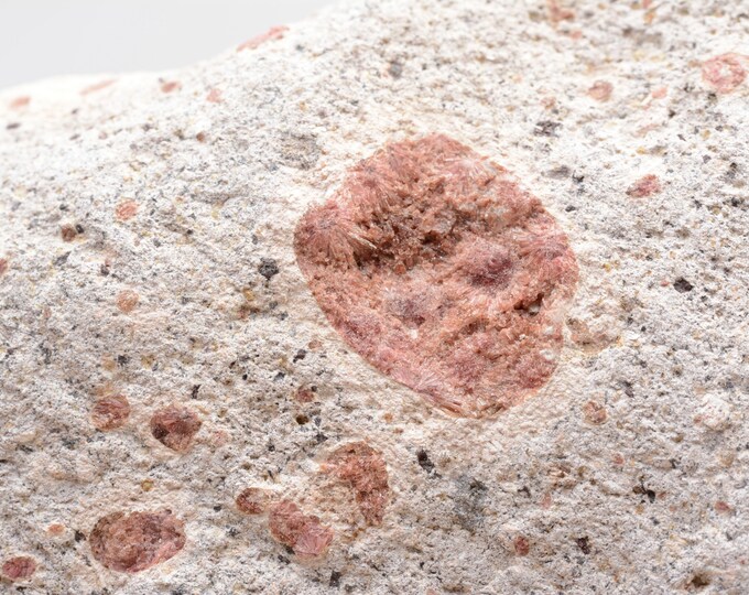 CALEDONIANROCKSHOP - Etsy UK