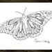 Monarch Butterfly Coloring Page, Digital Download, Nature Coloring Page ...