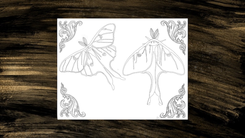 Luna Moth Digital Art Coloring Page - Etsy Ireland