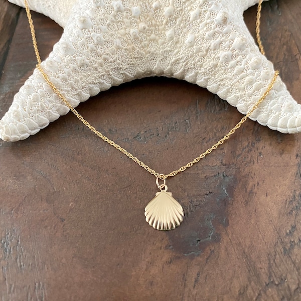 Scallop Shell Necklace - Etsy