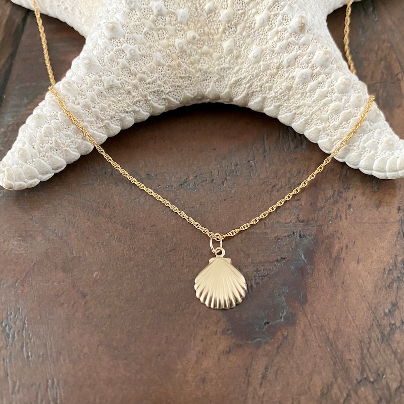 Scallop Shell Necklace - Etsy