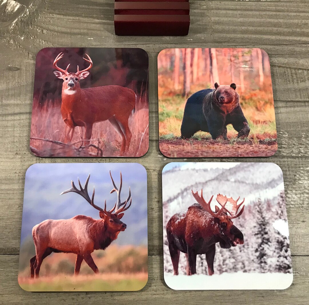 Elk Moose Bear Whitetail Buck Cork Bar Coasters Nature Wildlife Bug ...
