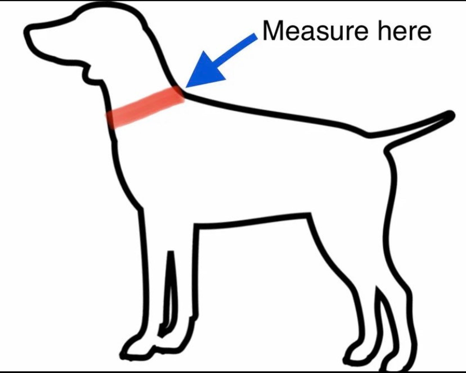 Indianapolis Colts Football Sports Team 1 M L XL Dog - Etsy