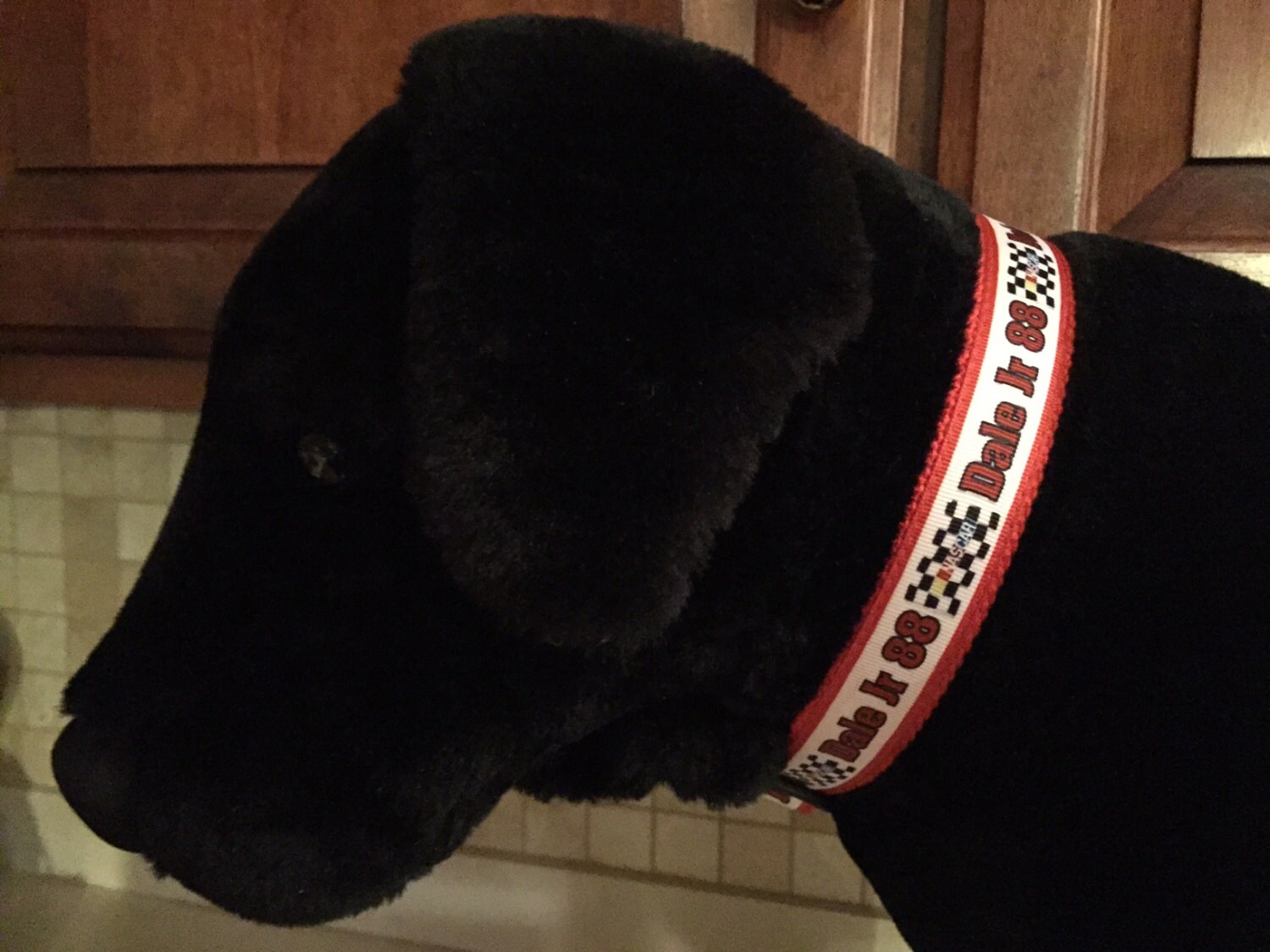 NASCAR Dale Earnhardt Jr Large and Medium Dog Collar 1 - Etsy