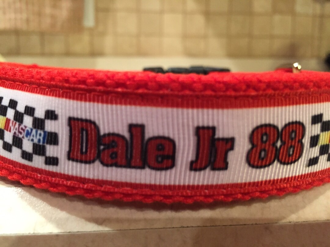 NASCAR Dale Earnhardt Jr Large and Medium Dog Collar 1 and Optional ...