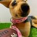OSU Oklahoma State University Pink Female Dog Football 1 - Etsy