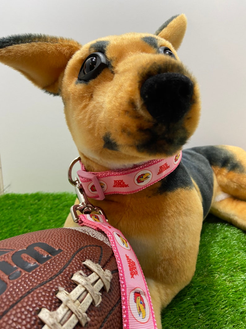 OSU Oklahoma State University Pink Female Dog Football 1 - Etsy