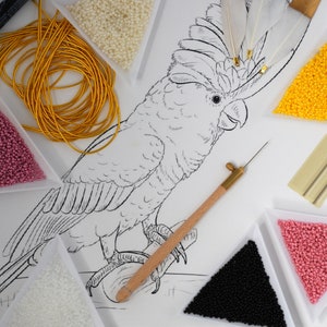 Tambour Embroidery Kit, Beginners Parrot Gold Work Kit, Basic Luneville ...