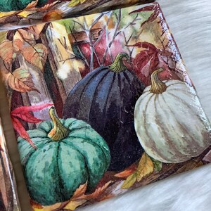 Fall Pumpkin Harvest Coasters, Set of 4, Upcycled Coasters, Napkin ...