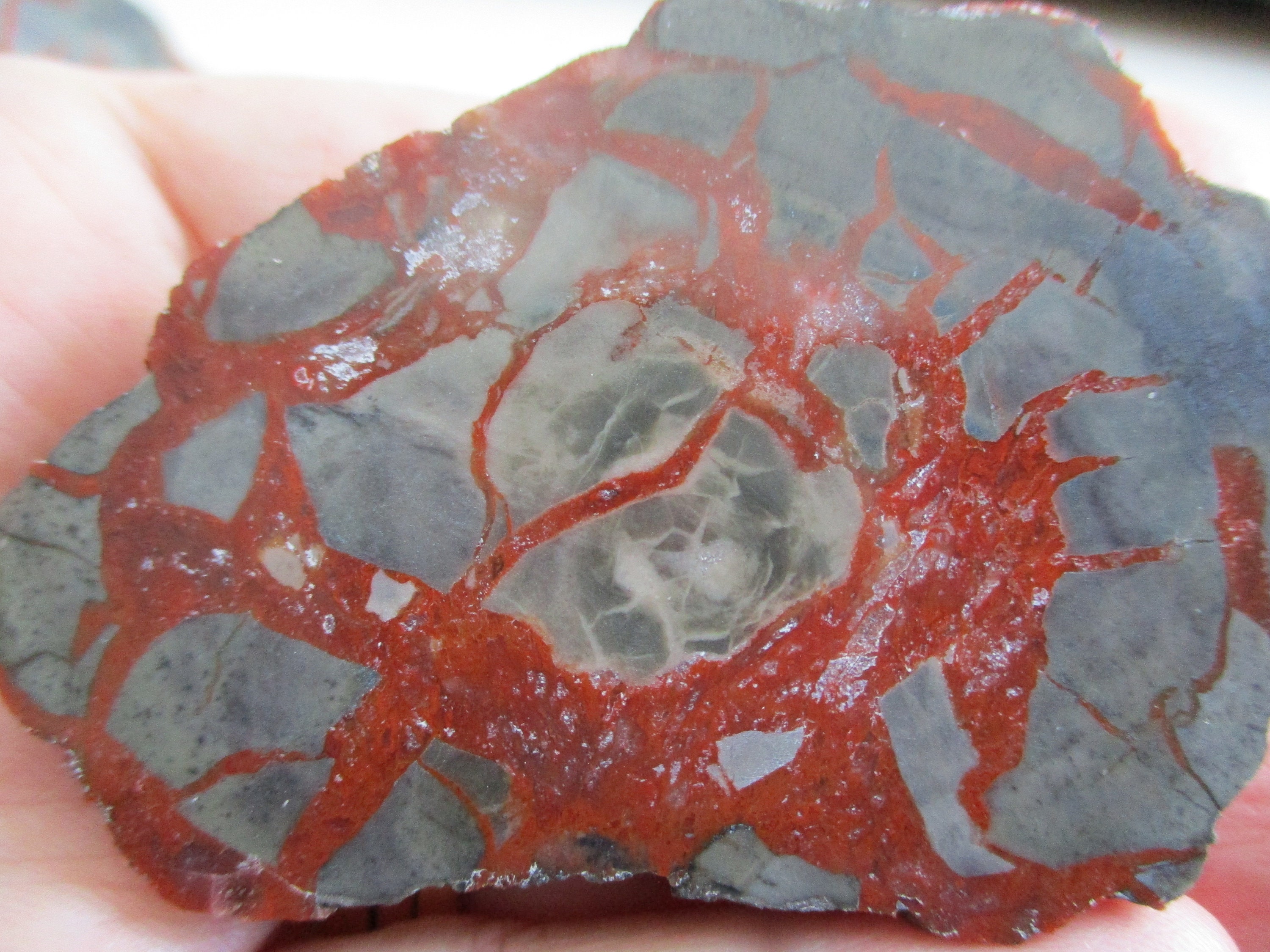 Terrarium Stones Rock Caverns Desert Rock Nodules With Crystal And ...