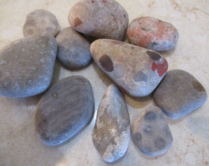 Michigan Iconic Stones Mix : - Etsy