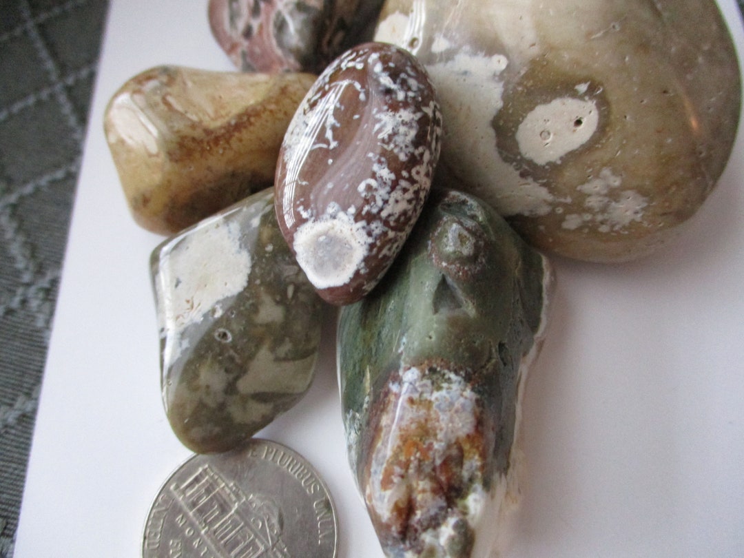 Orbed Spotted Fabulous Patterns on Polished Rocks - Etsy