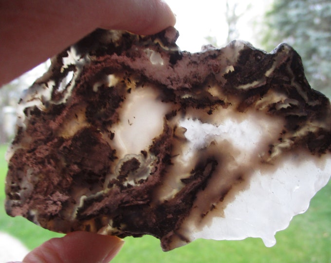 Profuse Dendritic Blue Agate Slab - Etsy