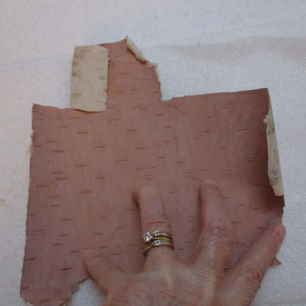 Birch Bark Sheets - Etsy