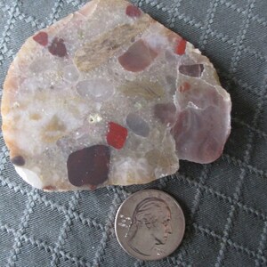 Raw Michigan Pudding Stone Rock Slab Cabbing Rough - Etsy