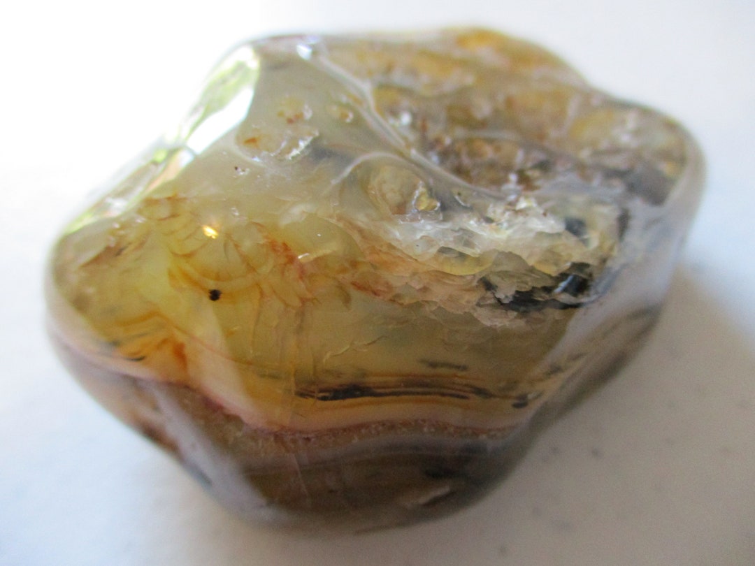 Montana Blue River Agate, Large Polished Dendritic Yellowstone Rock - Etsy