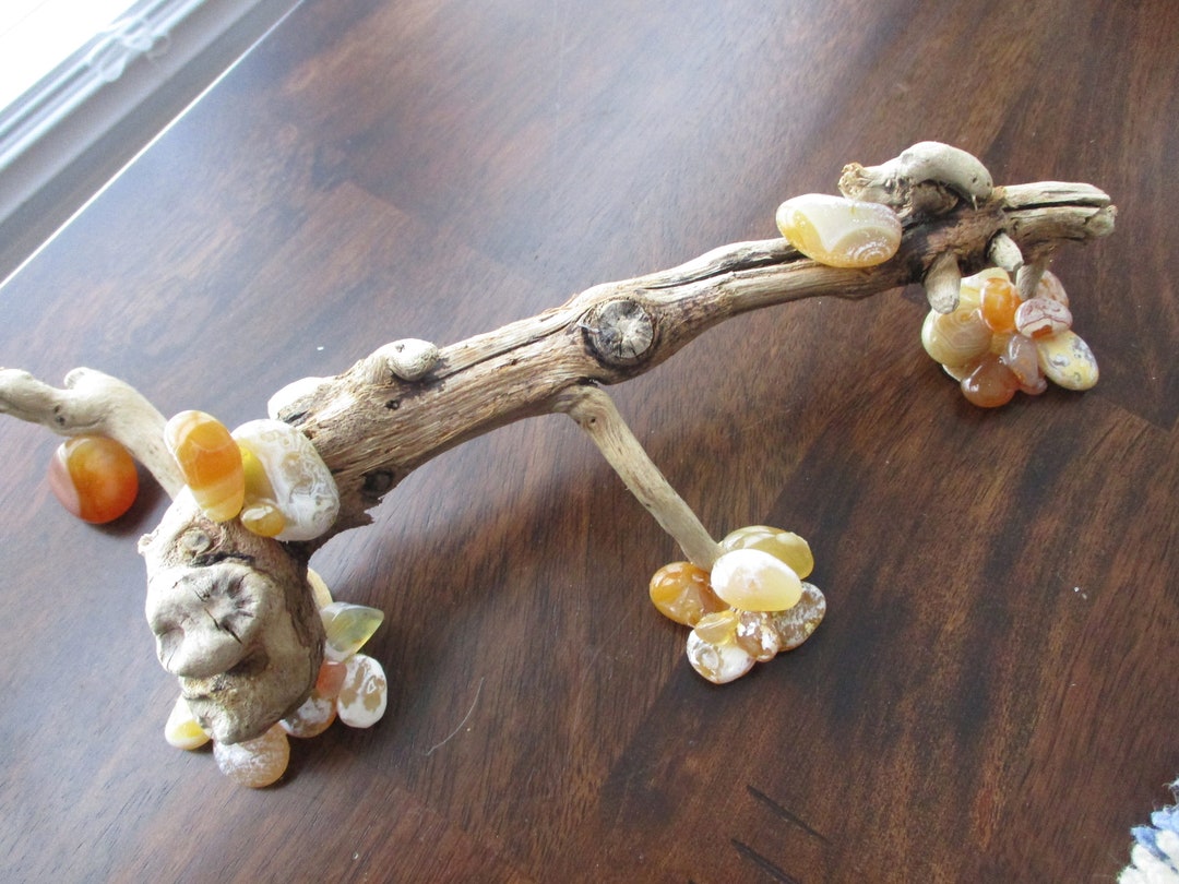 Driftwood and Red Oregon Beach Agates Display - Etsy