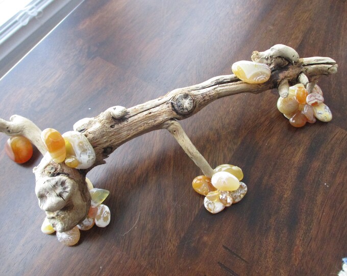 Driftwood and Red Oregon Beach Agates Display - Etsy