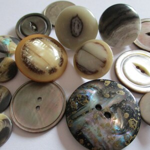 Vintage Shell Buttons Lot, Celluloid, Mother of Pearl, Abalone and More ...