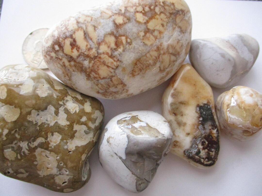 Brecciated and Spotted Stones, Fabulous Patterns on Polished Lake ...