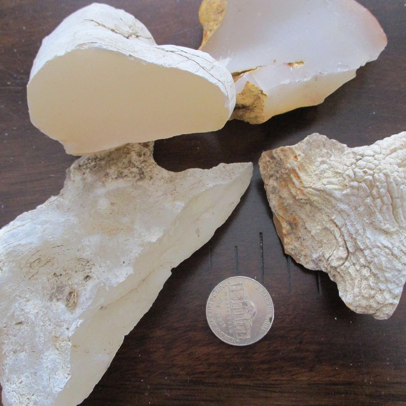 Snakeskin Agate - Etsy