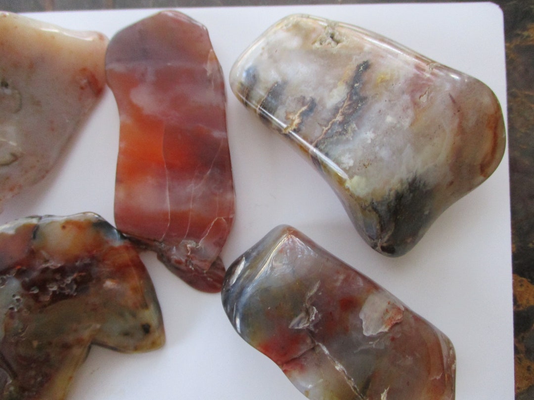 Colorful Polished Agatized Petrified Wood , Shiny Jewelry Making Stones ...