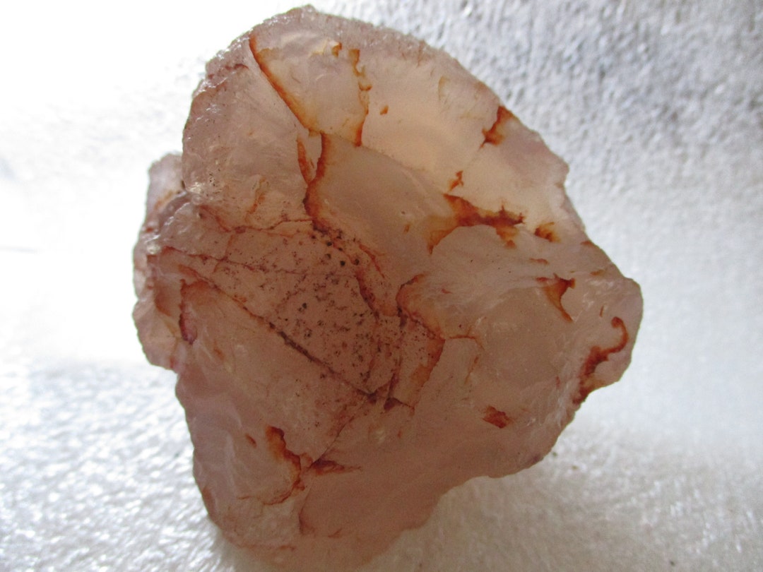 Oregon Paulina Pink Agatized Limb Cast Specimen - Etsy