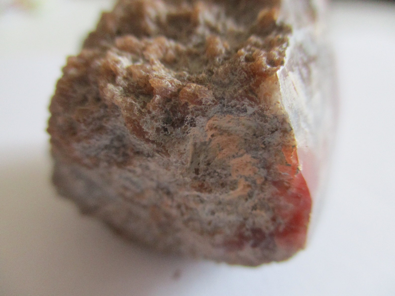 Red Coprolite Face Polished Utah Desert Nodule Dino Dung | Etsy