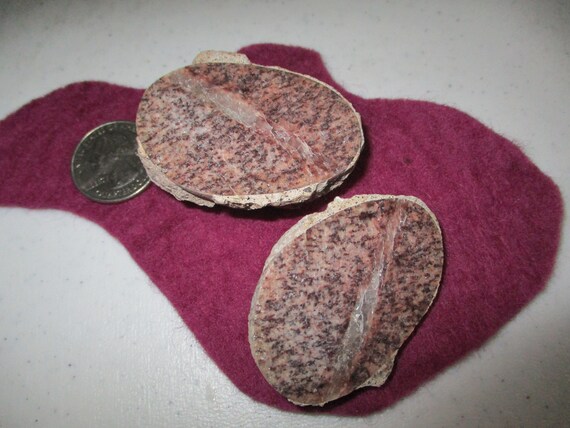 Terrarium Stones Rock Caverns Desert Rock Nodules With Crystal And ...