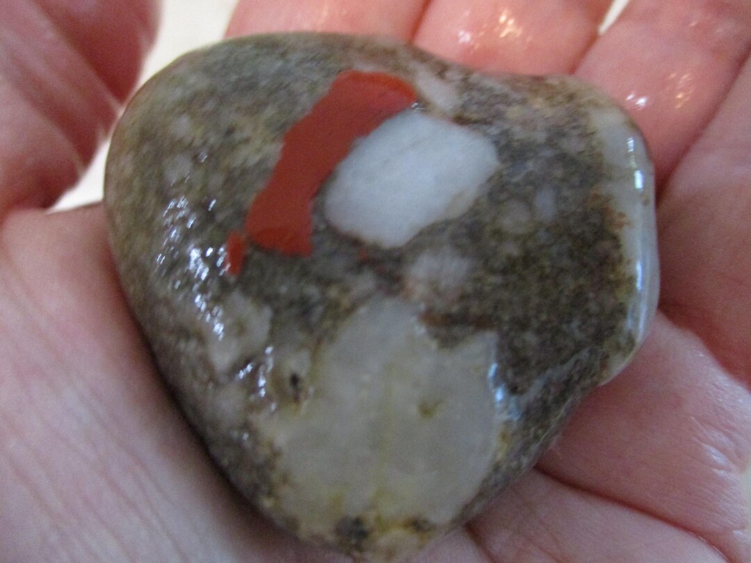 Michigan Pudding Stone Gowgonda Tillite - Etsy