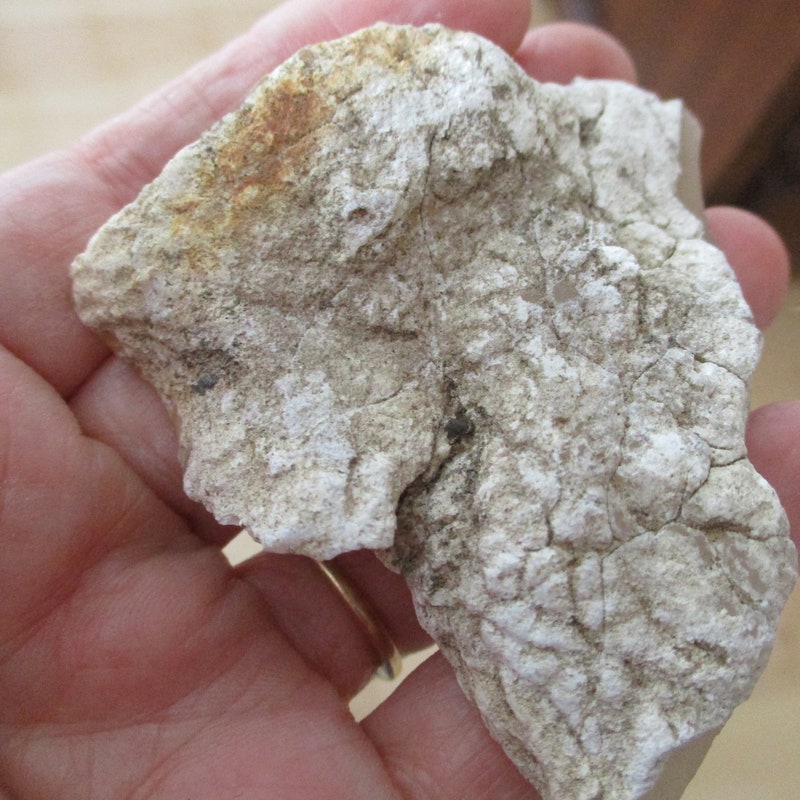 Snakeskin Agate - Etsy