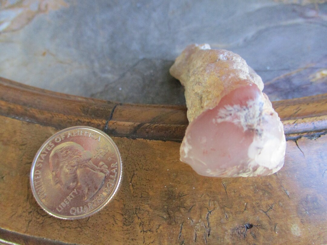 Pink Agatized Limb Cast, Face Polished Petrified Wood Cabinet Specimen ...