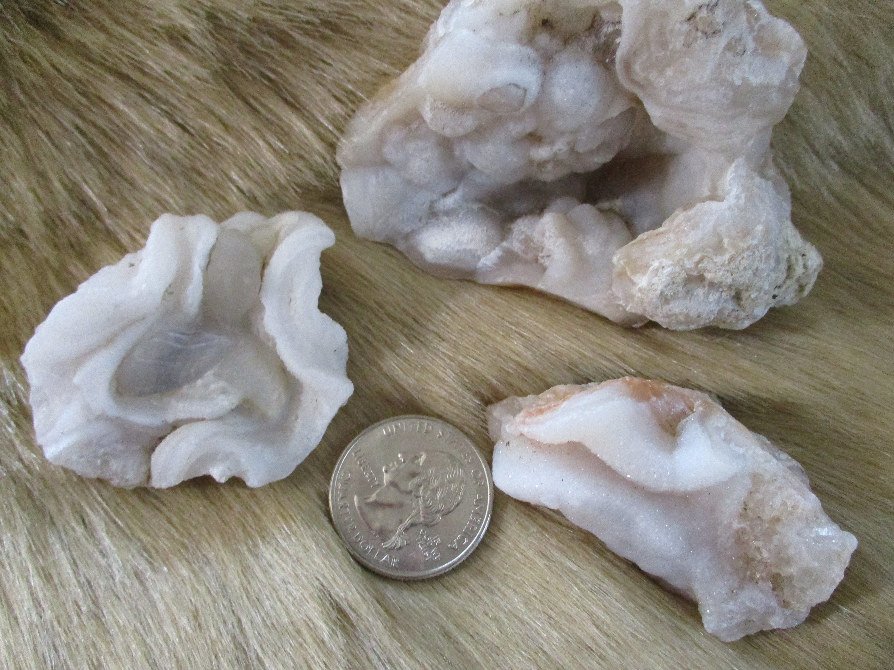 Terrarium Stones Rock Caverns Desert Rock Nodules With Crystal And ...