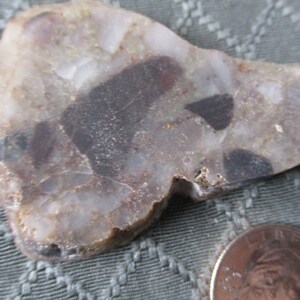 Raw Michigan Pudding Stone Rock Slab - Etsy