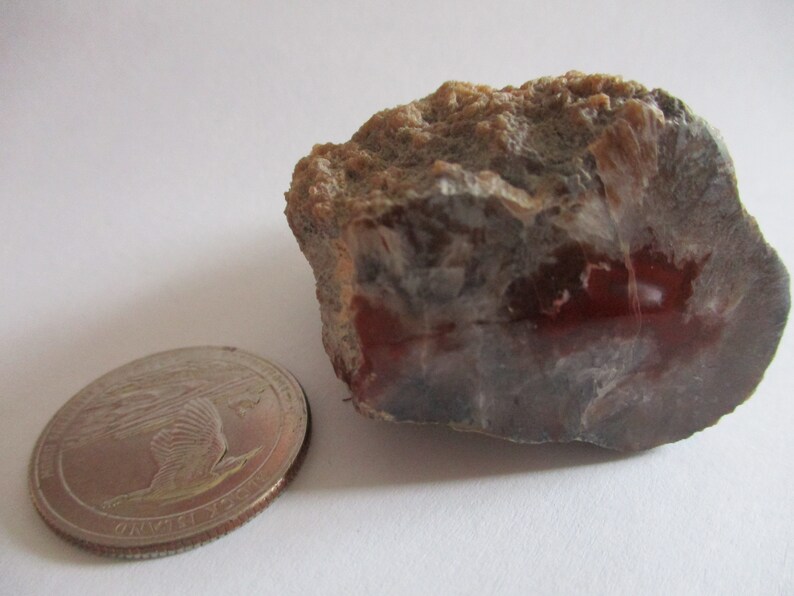 Red Coprolite Face Polished Utah Desert Nodule Dino Dung | Etsy