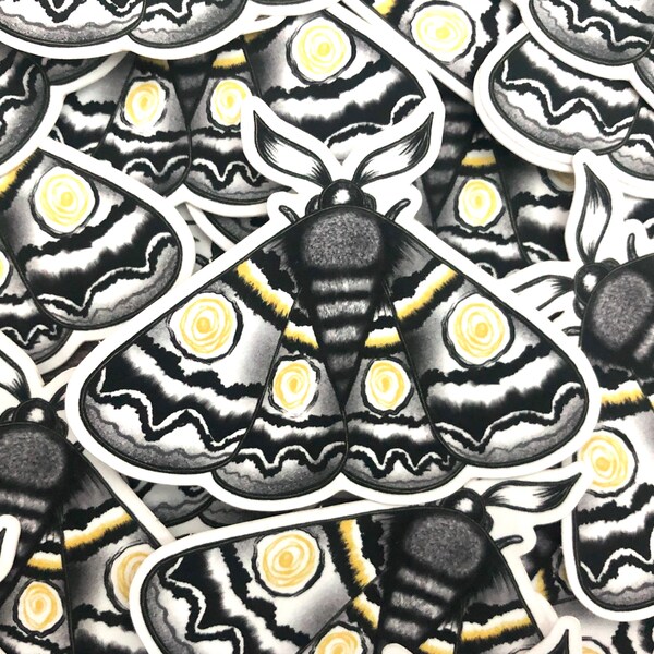 Insect Decals - Etsy