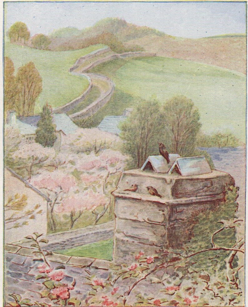 The Tale of Samuel Whiskers Original Vintage Print From 1920's- by ...