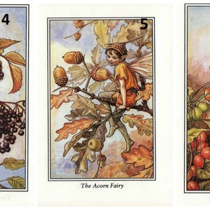 Cicely Mary Barker's Flower Fairies of the Autumn Original Vintage ...