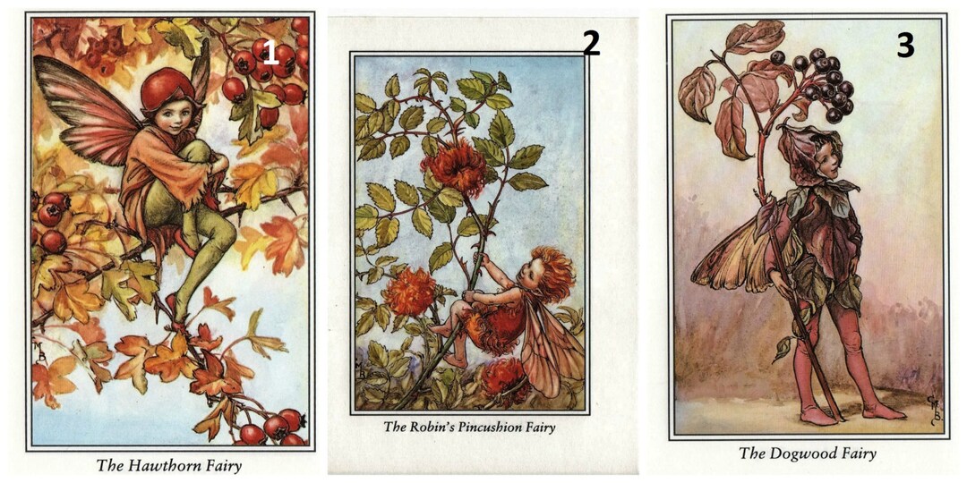 Cicely Mary Barker's Flower Fairies of the Autumn Original Vintage ...
