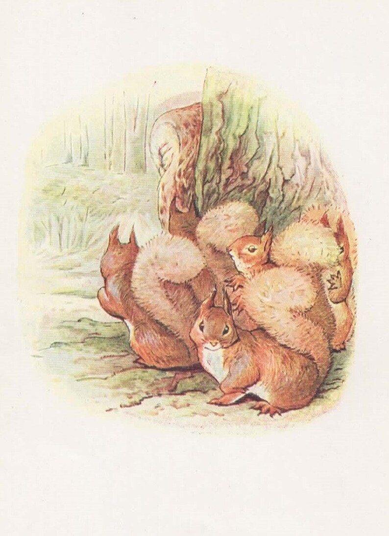 SQUIRREL NUTKIN Original Vintage Print From 1970's by | Etsy