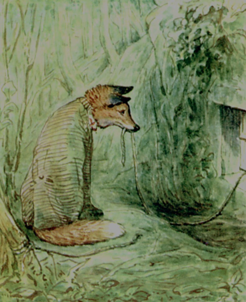 The Tale of Mr Tod the Fox Original Vintage Print From 1920's- by ...