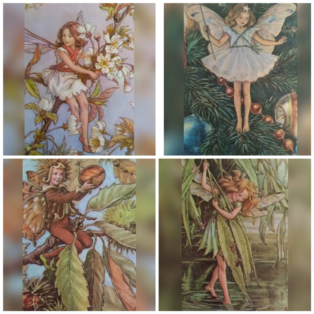 Cicely Mary Barker's Flower Fairies Original Vintage Print From 50's/60 ...