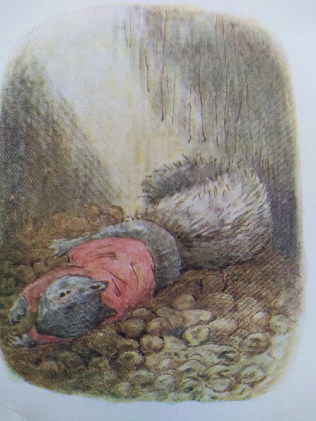 The Tale of Timmy Tiptoes Original Vintage Print From 1920's- by ...