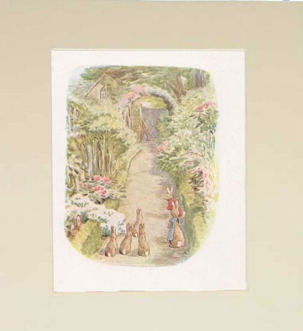 The Tale Of The Flopsy Bunnies original Vintage print from | Etsy