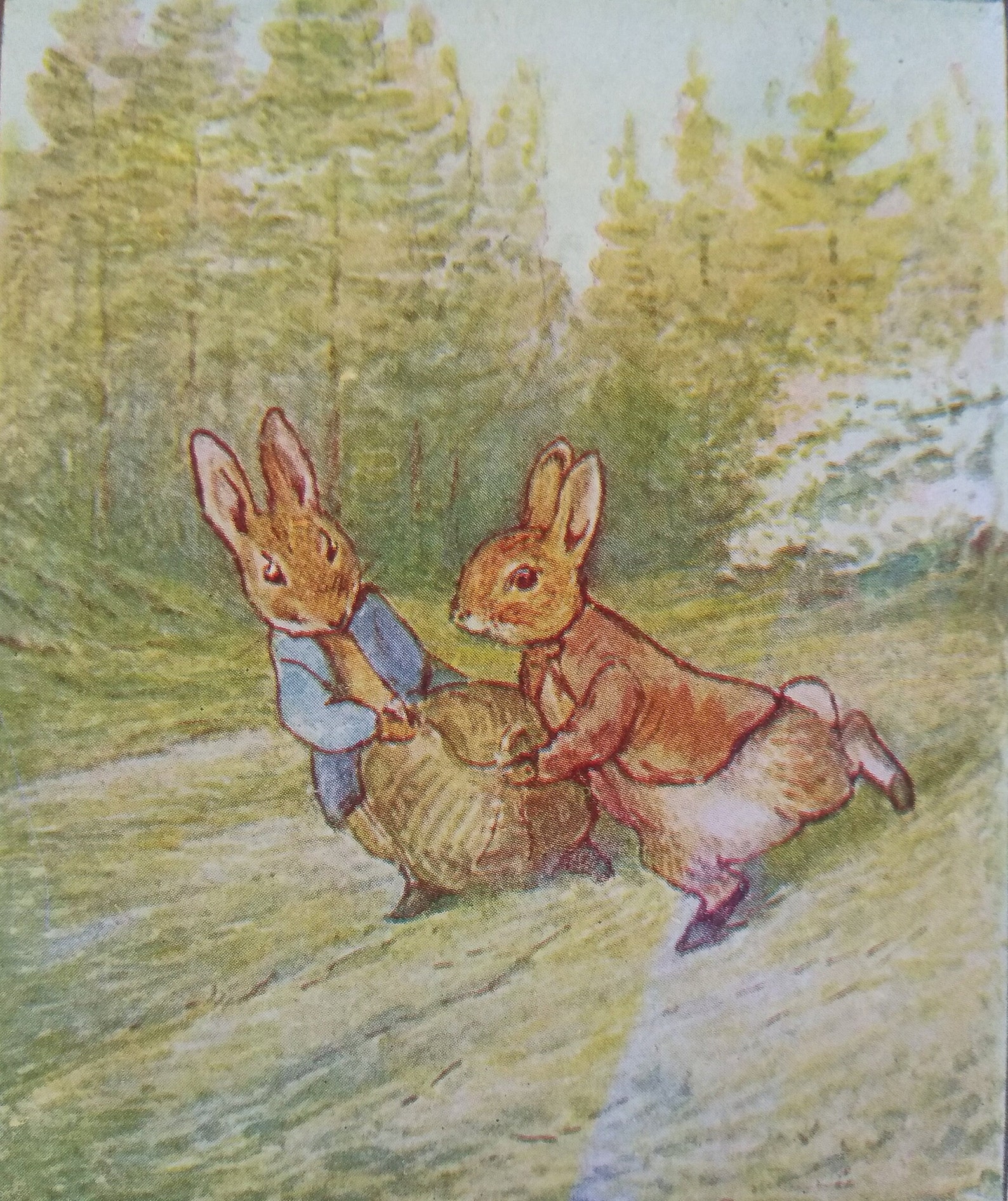 The Tale of Mr Tod the Fox Original Vintage Print From 1920's- by ...